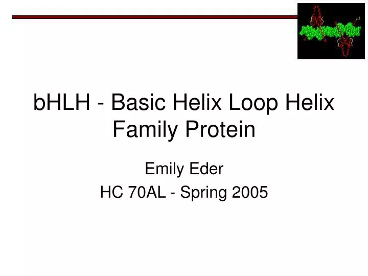 PPT - bHLH - Basic Helix Loop Helix Family Protein PowerPoint ...