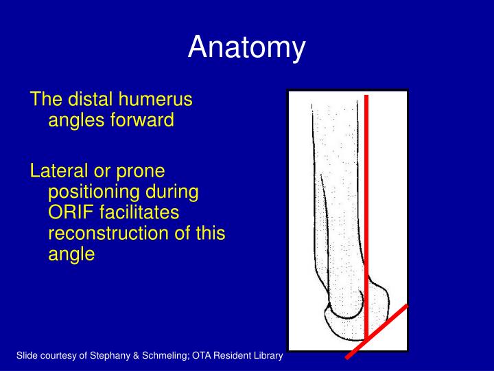 PPT - Distal Humerus Fractures PowerPoint Presentation - ID:6635025