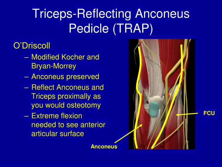 PPT - Distal Humerus Fractures PowerPoint Presentation - ID:6635025