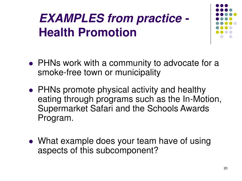 PPT - Canadian Community Health Nursing Standards of Practice (CCHN ...