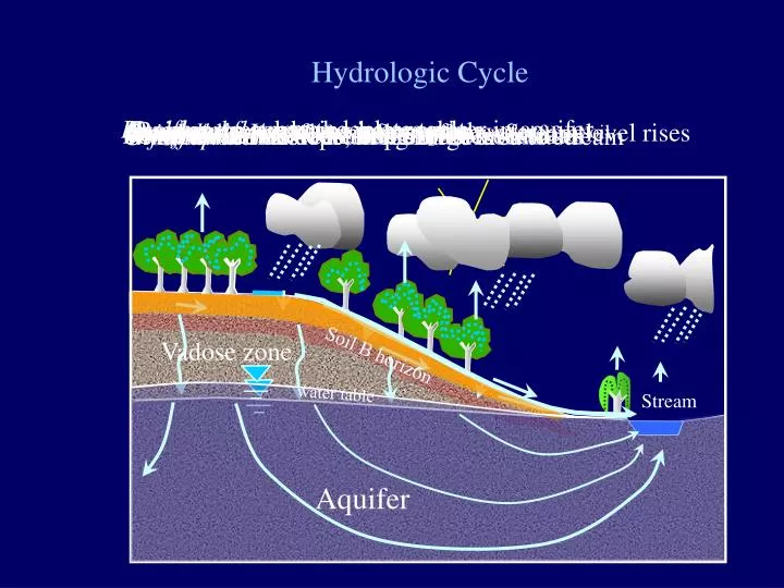 PPT - Interception on trees, impermeable surfaces PowerPoint ...