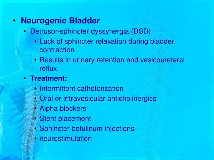 PPT - Spinal Cord Injury PowerPoint Presentation - ID:6638740