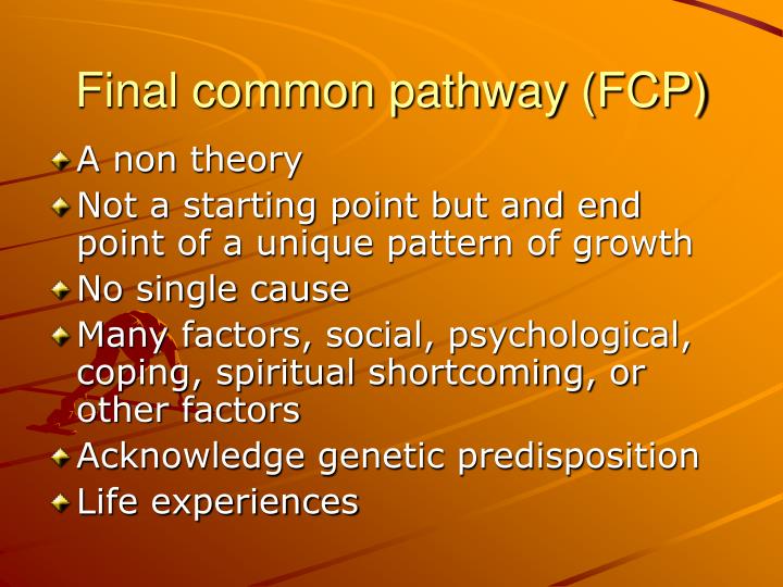 PPT - CHAPTER ONE PowerPoint Presentation - ID:6640281