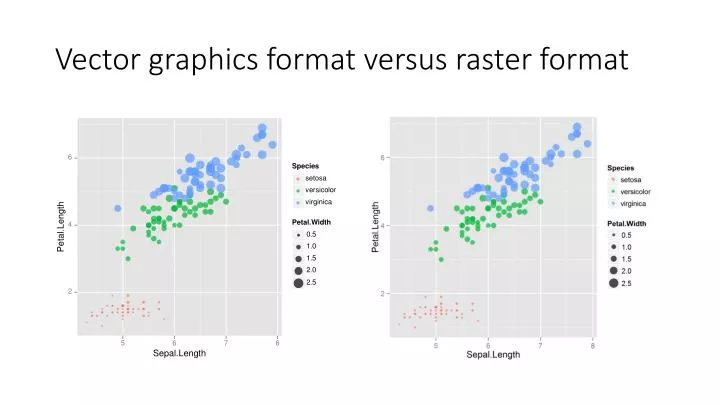 PPT - Vector graphics format versus raster format PowerPoint ...