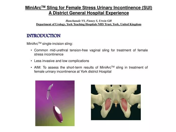 PPT - INTRODUCTION MiniArc TM single-incision sling: PowerPoint ...
