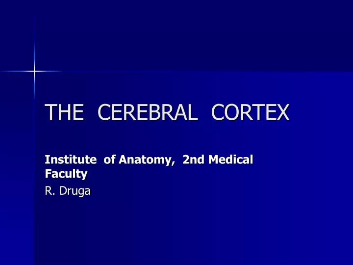 PPT - THE CEREBRAL CORTEX PowerPoint Presentation, free download - ID ...