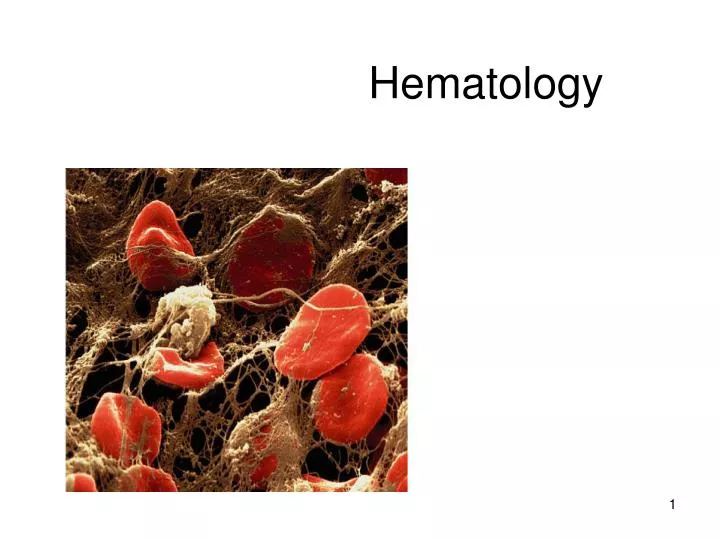 PPT - Hematology PowerPoint Presentation, free download - ID:6645066