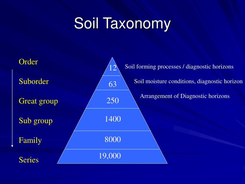 The Twelve Orders Of Soil Taxonomy Nrcs Soil Classification Soil – Eroppa The Twelve Orders Of Soil Taxonomy Nrcs Soil Classification Soil – Eroppa