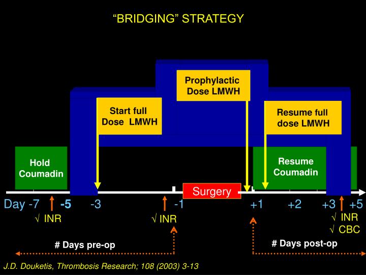 PPT - Bridge Therapy: Peri-operative Anticoagulation Management Amjad ... PPT - Bridge Therapy: Peri-operative Anticoagulation Management Amjad ...