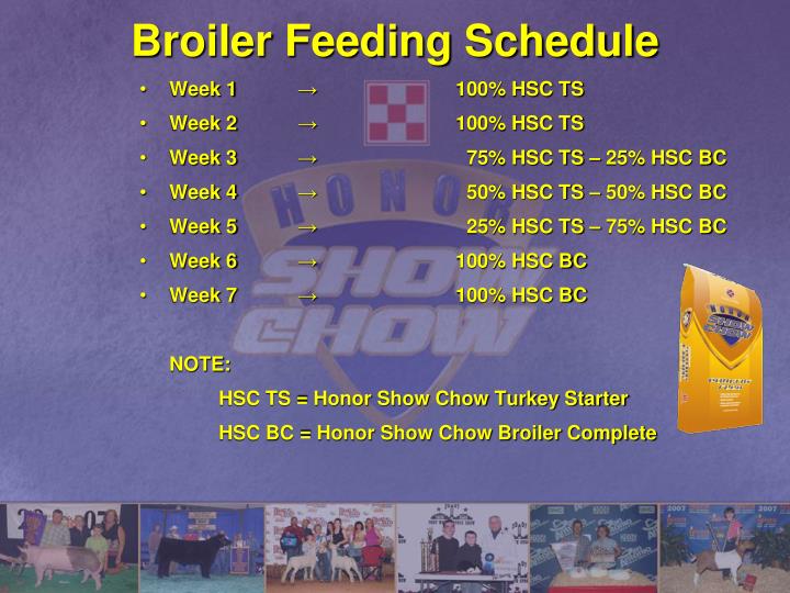 PPT - Producing Broilers & Turkeys For Show PowerPoint Presentation ...
