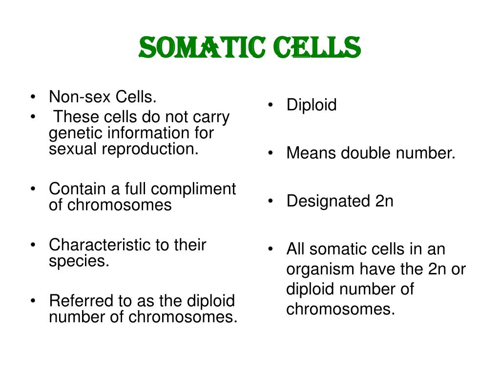 PPT - Genes, Chromosomes and DNA PowerPoint Presentation, free download ...