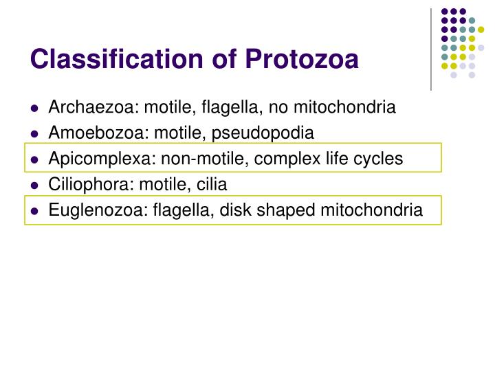 PPT - MICR 454L PowerPoint Presentation - ID:6647640