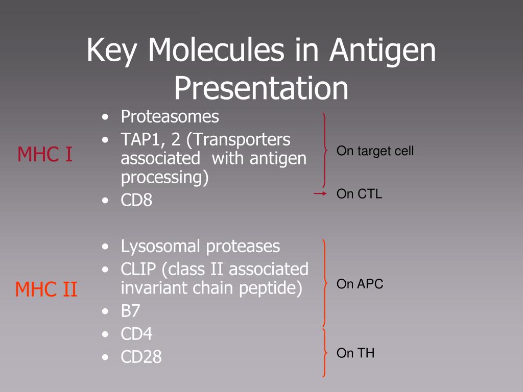 PPT - MICR 304 Immunology & Serology PowerPoint Presentation, free ...