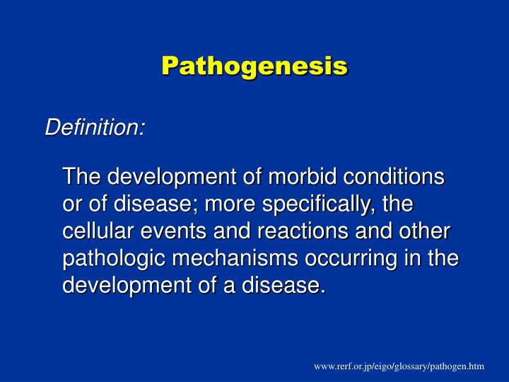 PPT - HIV Pathogenesis PowerPoint Presentation - ID:6649690