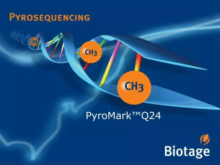 PPT - PyroMark™Q24 PowerPoint Presentation, free download - ID:6650223