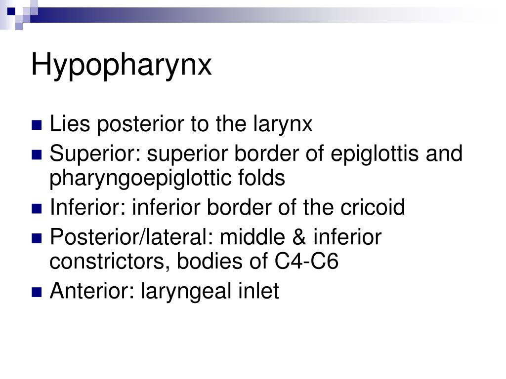 PPT - Anatomy and Embryology of the Pharynx PowerPoint Presentation ...