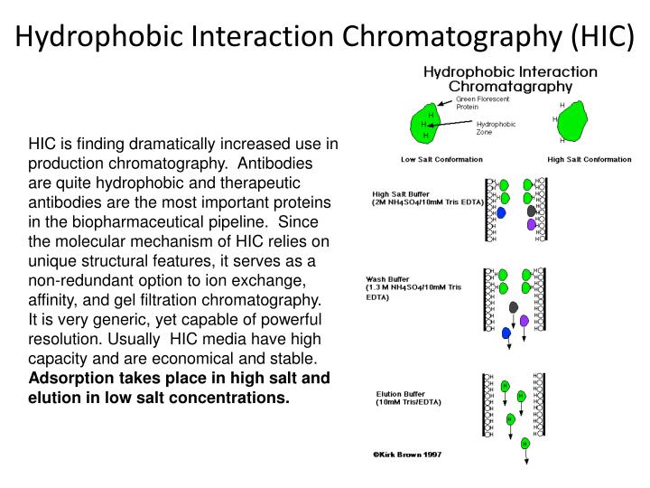PPT - Downstream Processing in Biopharmaceutical Manufacturing ...