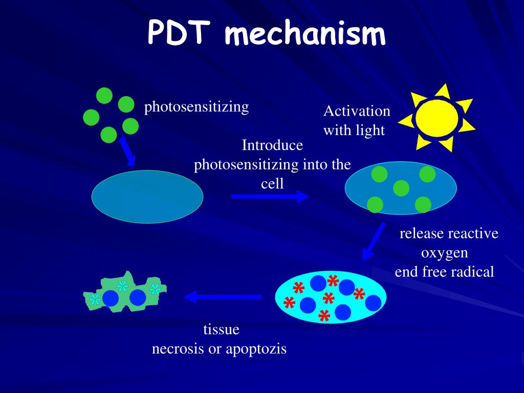 PPT - Photodynamic Therapy PowerPoint Presentation, free download - ID ... PPT - Photodynamic Therapy PowerPoint Presentation, free download - ID ...