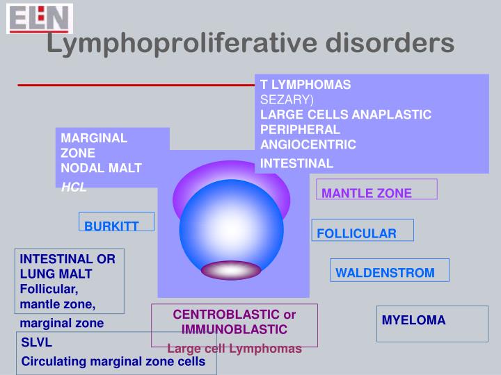 PPT - Immunophenotyping PowerPoint Presentation - ID:6653001