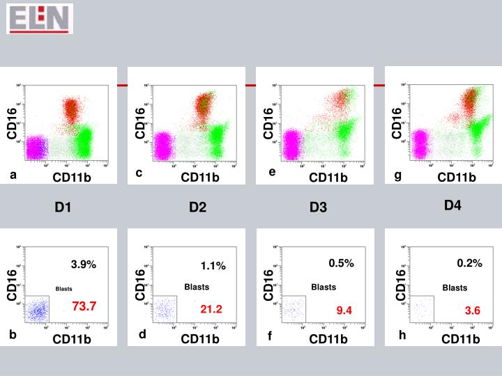 PPT - Immunophenotyping PowerPoint Presentation - ID:6653001