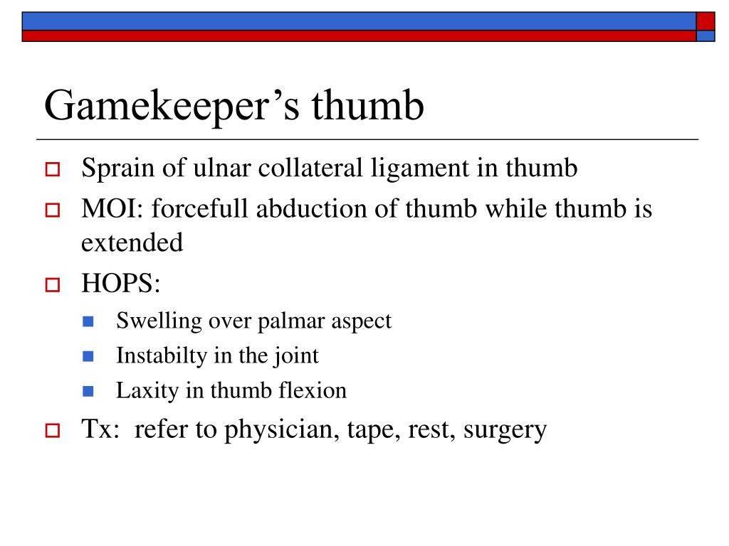 PPT - Wrist/Hand Anatomy PowerPoint Presentation, free download - ID ...