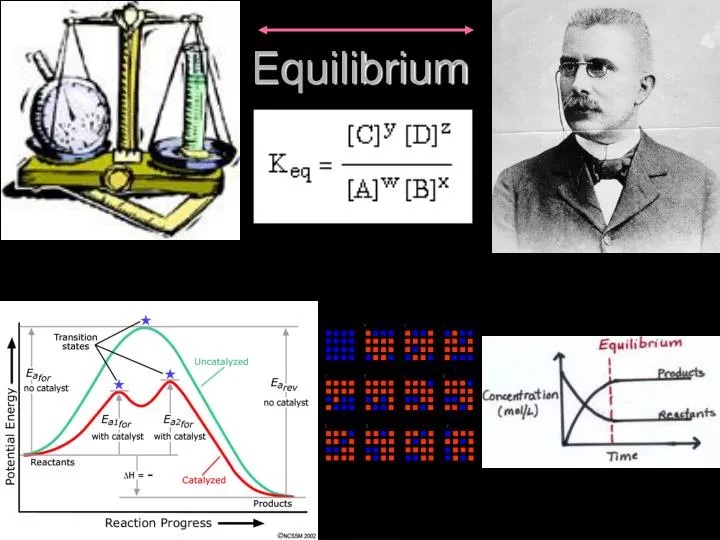 PPT - Equilibrium PowerPoint Presentation, free download - ID:6654974