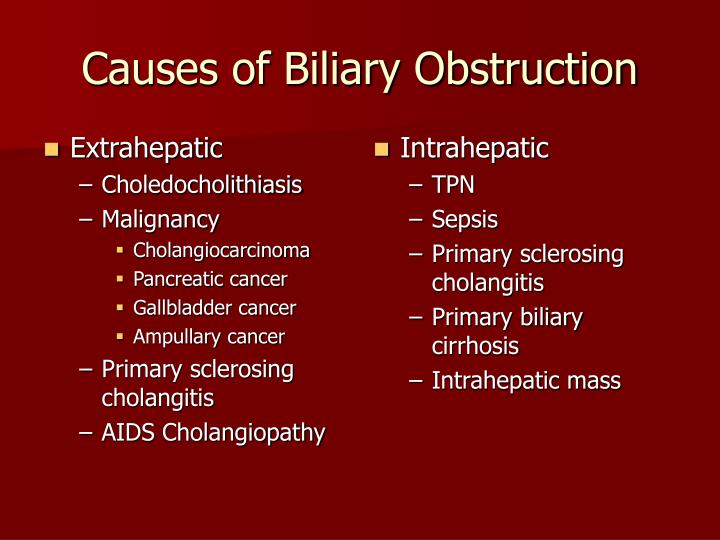 PPT - Liver Function Tests PowerPoint Presentation - ID:6655593
