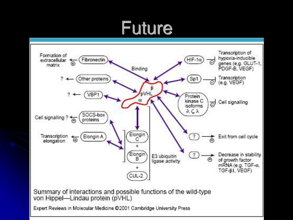 PPT - von Hippel-Lindau Syndrome (VHL) PowerPoint Presentation, free ...
