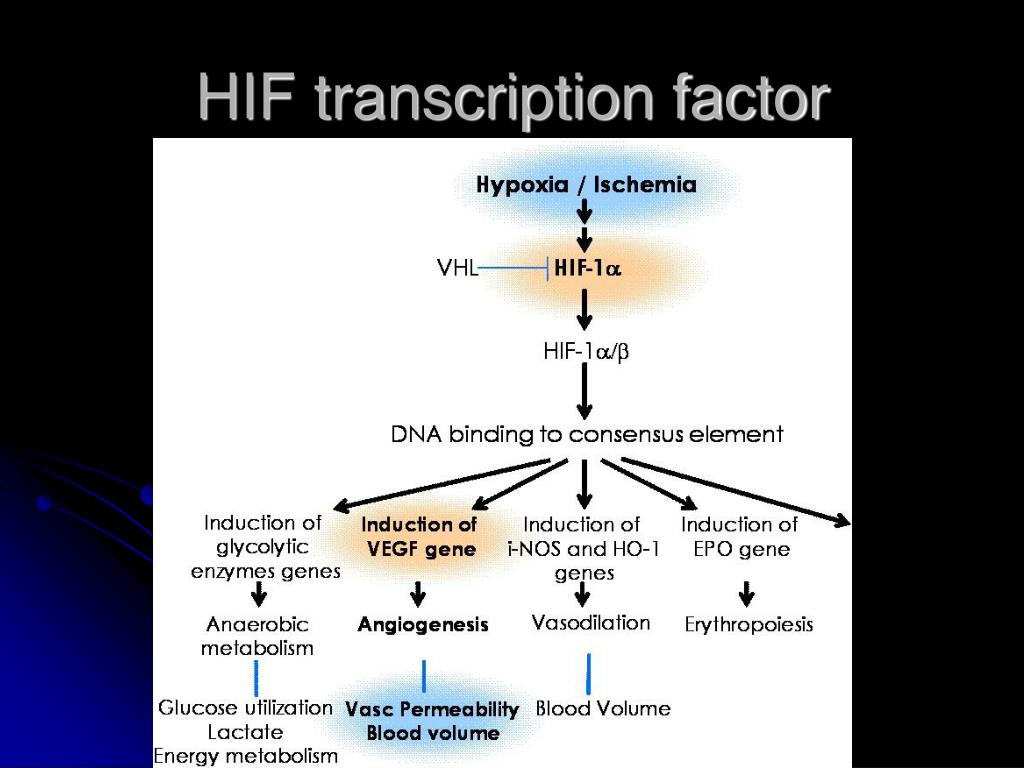 PPT - von Hippel-Lindau Syndrome (VHL) PowerPoint Presentation, free ...