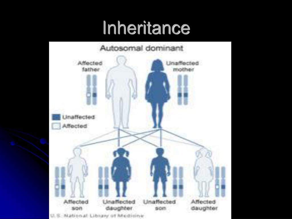 PPT - von Hippel-Lindau Syndrome (VHL) PowerPoint Presentation, free ...