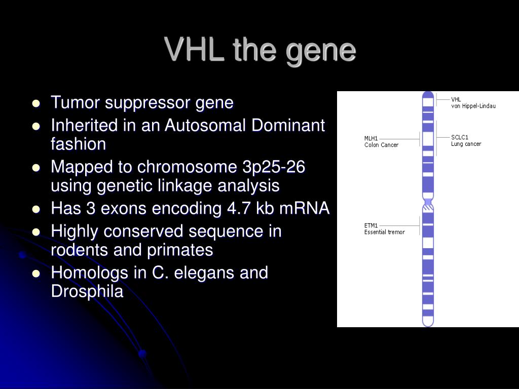 PPT - von Hippel-Lindau Syndrome (VHL) PowerPoint Presentation, free ...