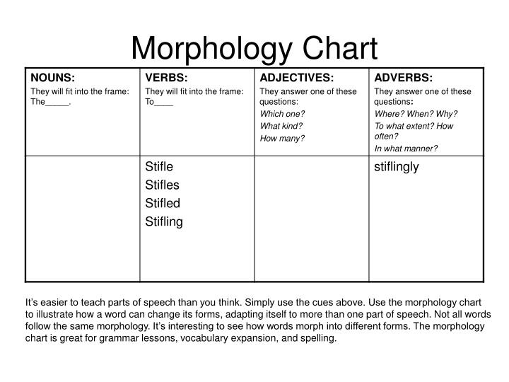 PPT - “ I’ve never known a person who wasn’t interested in language ...