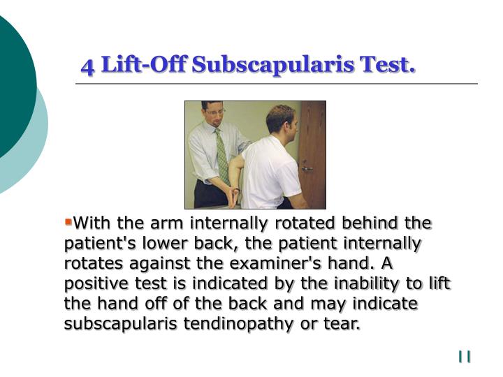 PPT - Shoulder PowerPoint Presentation - ID:6657759
