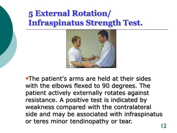 PPT - Shoulder PowerPoint Presentation - ID:6657759
