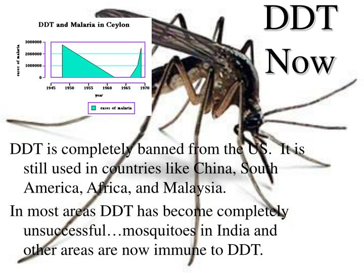 PPT - Harmful Effects of DDT on the Earth PowerPoint Presentation - ID ...