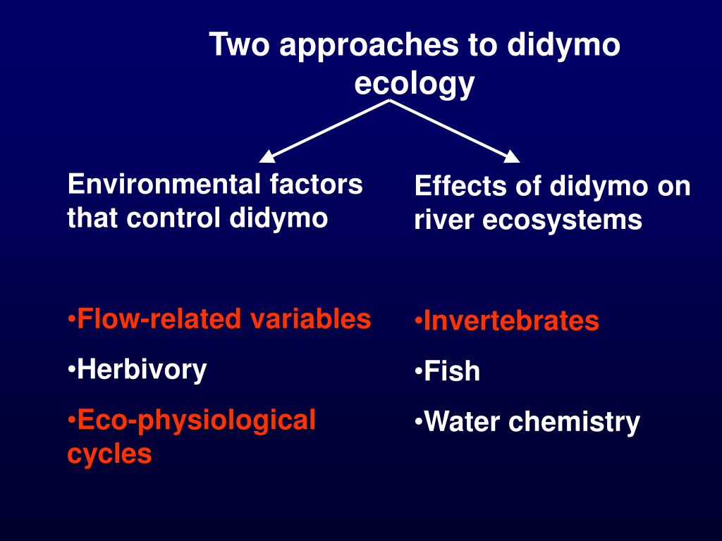 PPT - Ecological studies of Didymosphenia geminata in New Zealand, 2006 ...