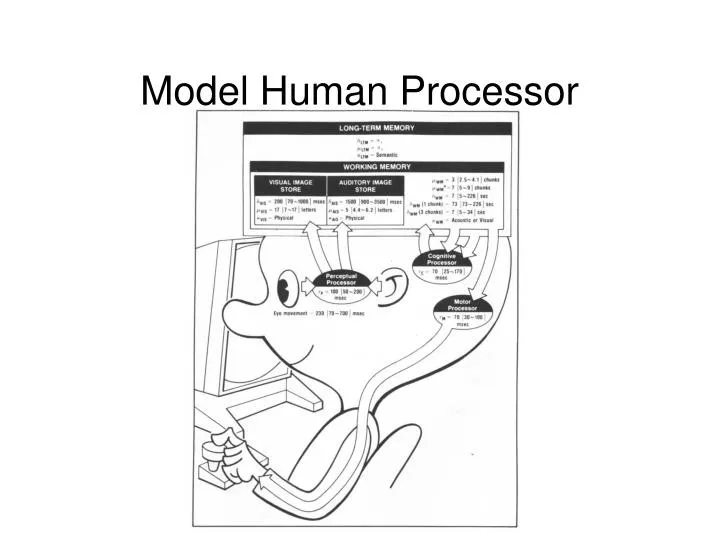 PPT Model Human Processor PowerPoint Presentation Free Download ID PPT Model Human Processor PowerPoint Presentation Free Download ID