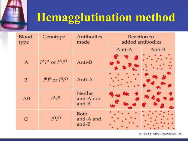 PPT - By: Wiraya Nakkeamkeao PowerPoint Presentation - ID:6661067