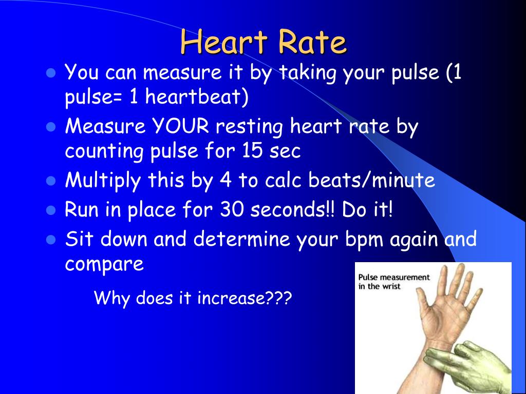 PPT Heart Rate PowerPoint Presentation Free Download ID 6661621