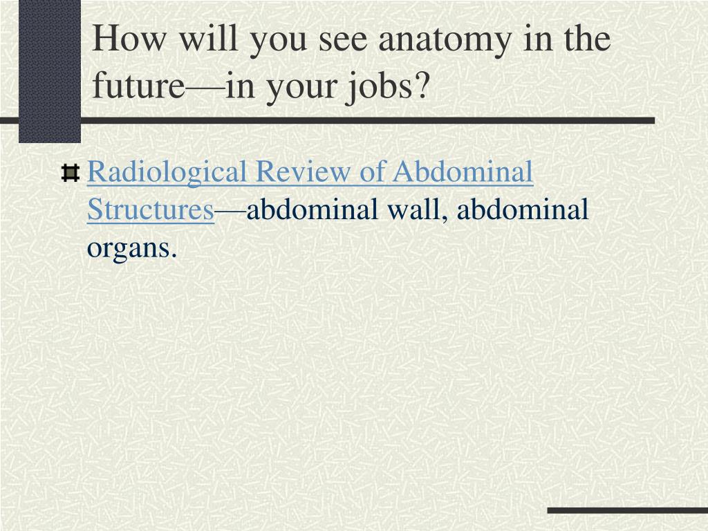 Ppt Abdominal Wall And Cavity Powerpoint Presentation Free Download