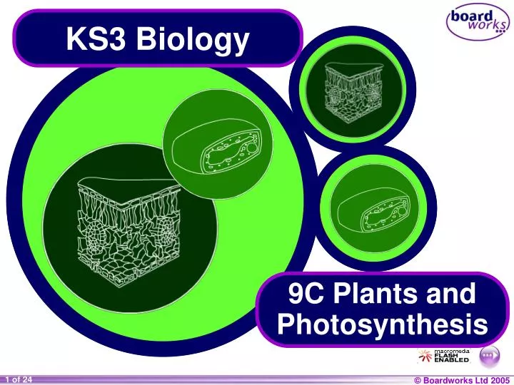 PPT - KS3 Biology PowerPoint Presentation, free download - ID:6664156