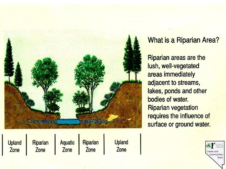 PPT - Riparian Proper Functioning Condition PowerPoint Presentation ...