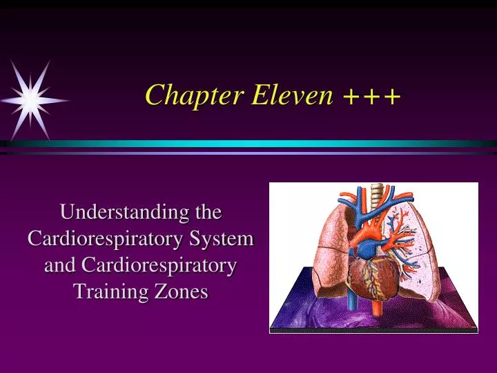 PPT - Chapter Eleven +++ PowerPoint Presentation, free download - ID ...