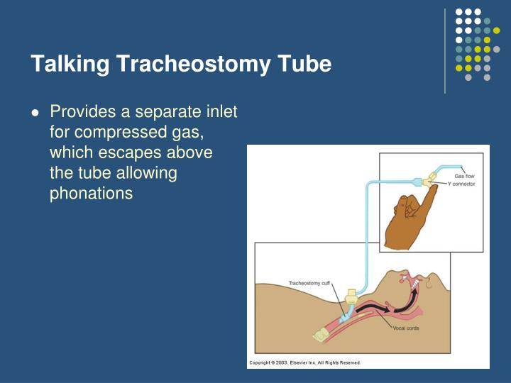 PPT - Airway Management Part III PowerPoint Presentation - ID:6667975