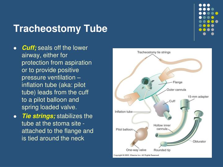 PPT - Airway Management Part III PowerPoint Presentation - ID:6667975