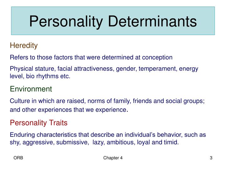PPT - ORGANIZATIONAL BEHAVIOR PowerPoint Presentation - ID:6668691