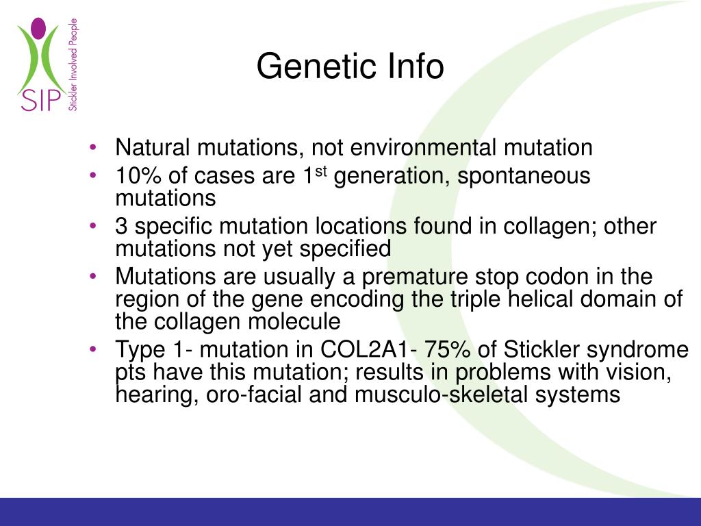 PPT - Stickler Syndrome: A Physician’s Overview PowerPoint Presentation ...
