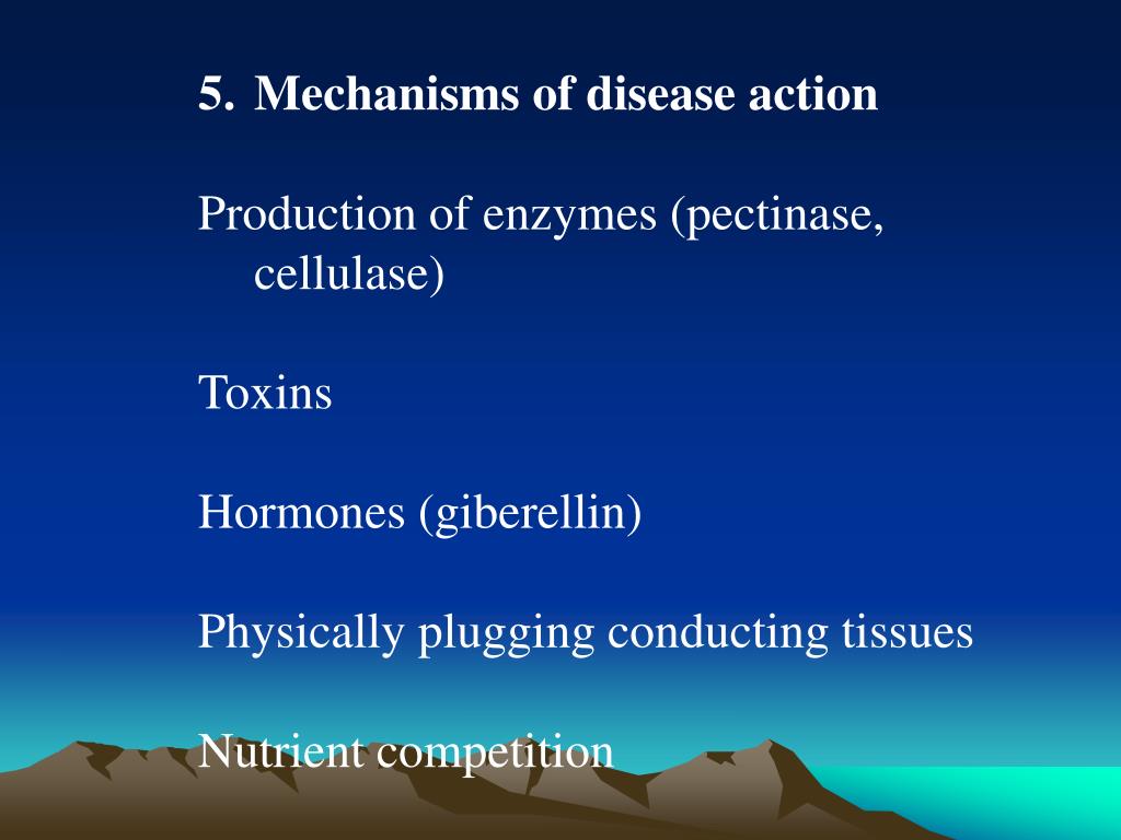 PPT BASIC PLANT PATHOLOGY Topics What Is Plant Pathology PowerPoint