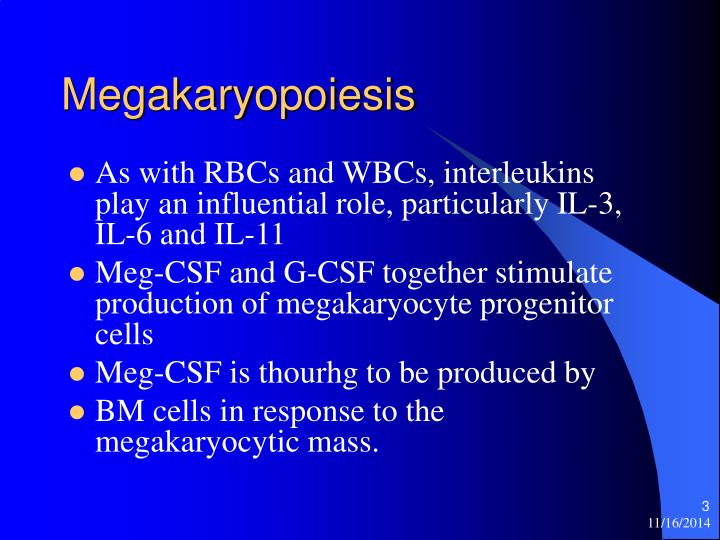 PPT - Hematology 425 Megakaryopoiesis PowerPoint Presentation - ID:6670267