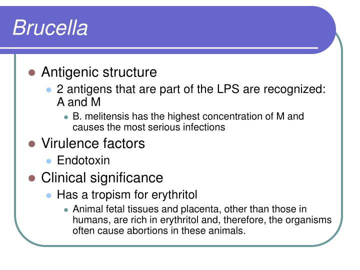 PPT - Bordetella, Francisella, and Brucella PowerPoint Presentation ...
